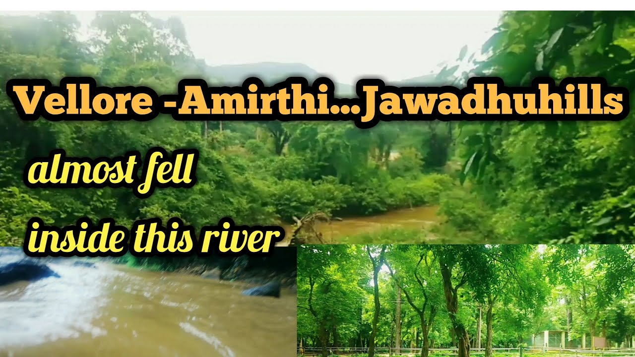 Vellore Amirthi Zoo - YouTube