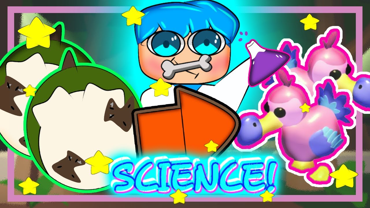 How TO HATCH A LEGENDARY DODO In(Scientific Way Method) Adopt Me ROBLOX ...