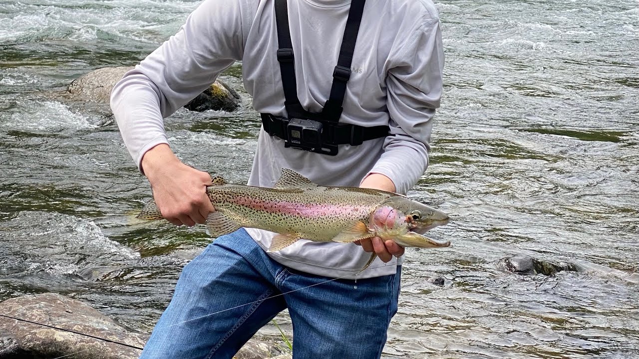 Spring trout fishing in the PNW - YouTube