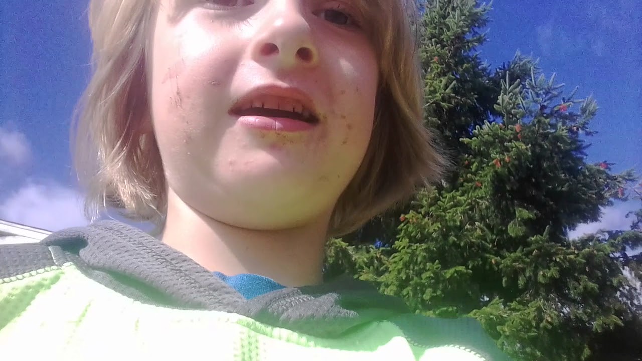 My own num num num song - YouTube