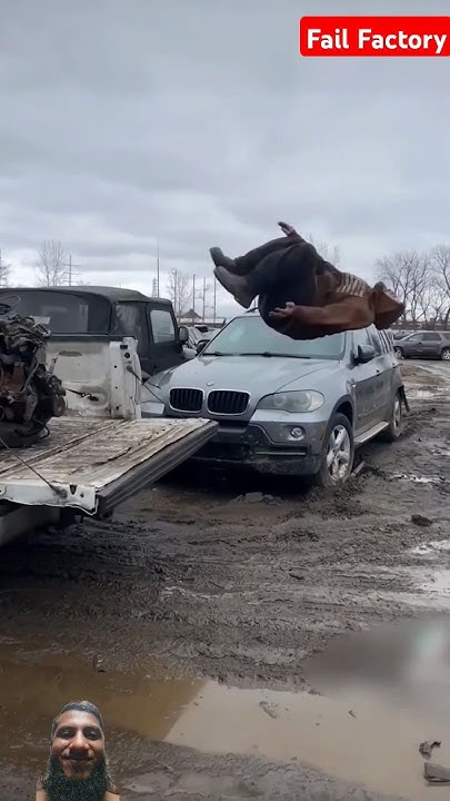 Big Fail Compilation: Hilarious Mishaps & Epic Blunders You Need to See | Fail Factory - YouTube