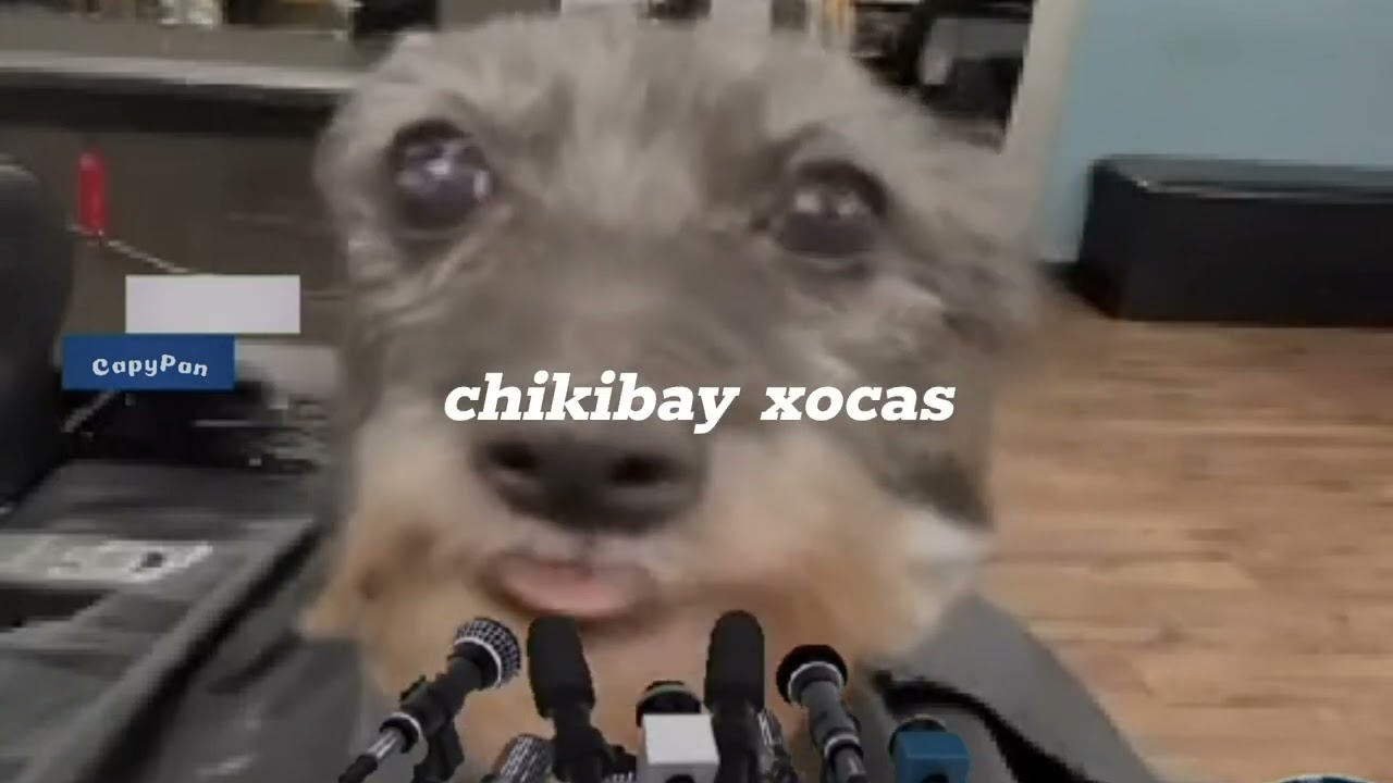 Skibidi Sigma Pomni Letralyrics Chords Chordify