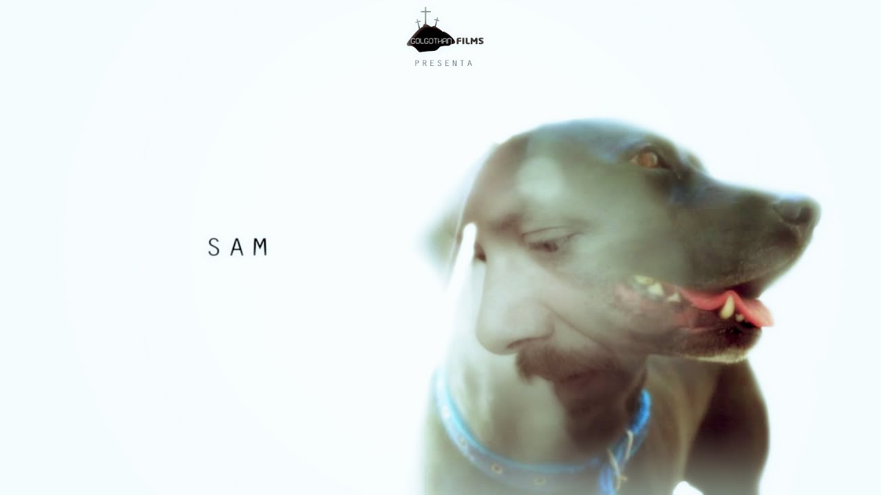 SAM (Short Film) - YouTube