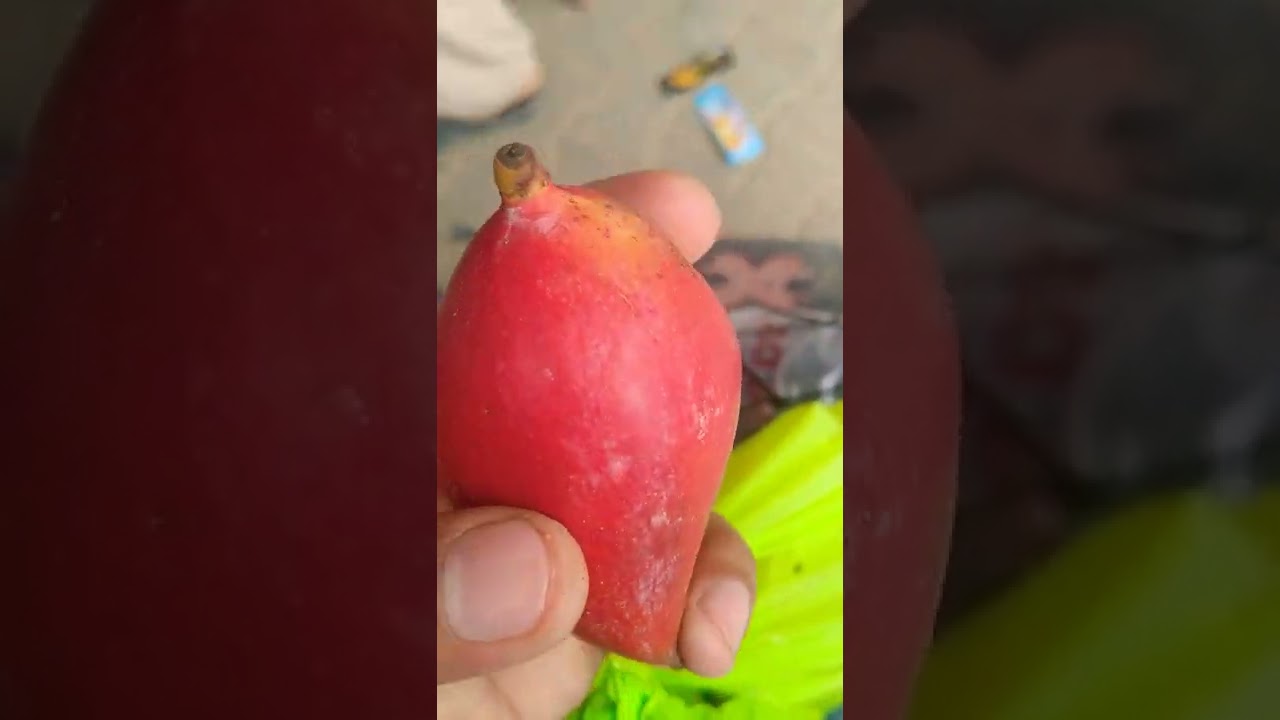 Red Mango | tota aam #shorts #pakistan #food #fruits #mango - YouTube