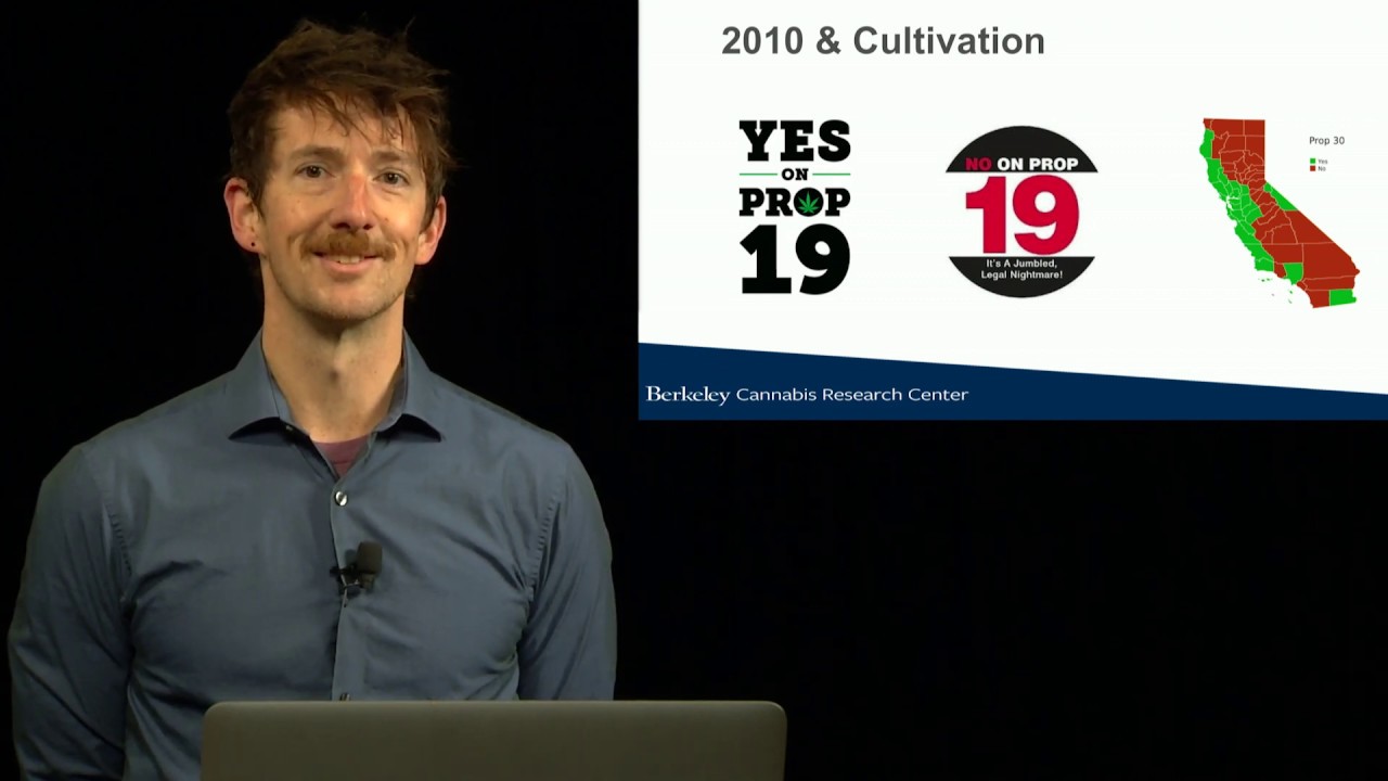 Cannabis Policy: Lessons from Social Science - Dr. Michael Polson - YouTube