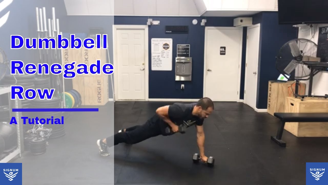 The Dumbbell Renegade Row | A Tutorial - YouTube