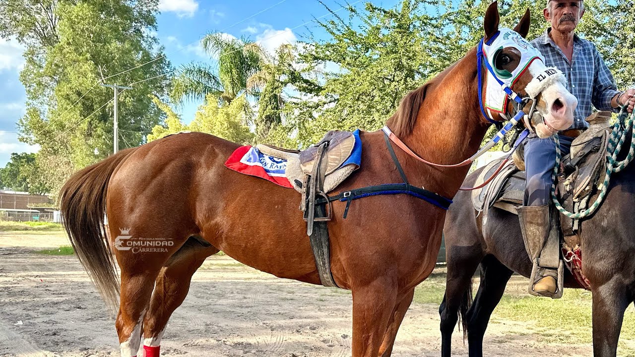 Payaso 🤡/Brincos Dieras C. La Rata🐀/San Rafael - YouTube