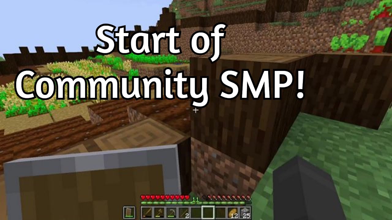 Start of the Community SMP! - YouTube
