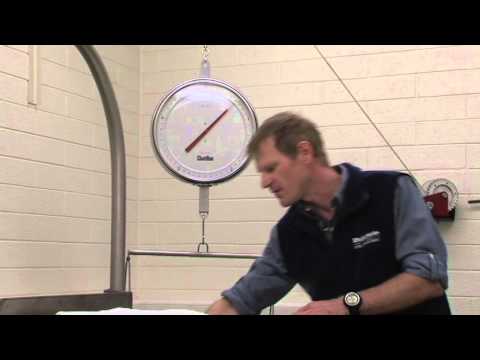 Hydrostatic Weighing