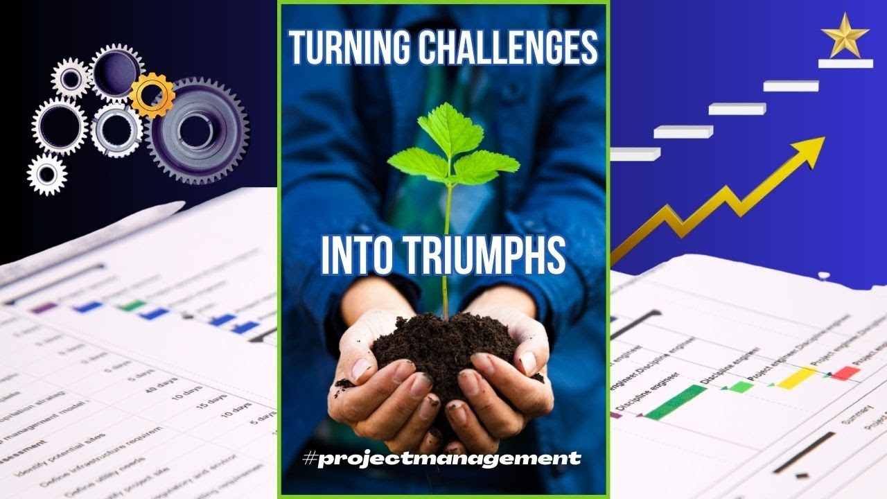 Beyond Basics: Cultivating Project Management Maturity | The Process of ...