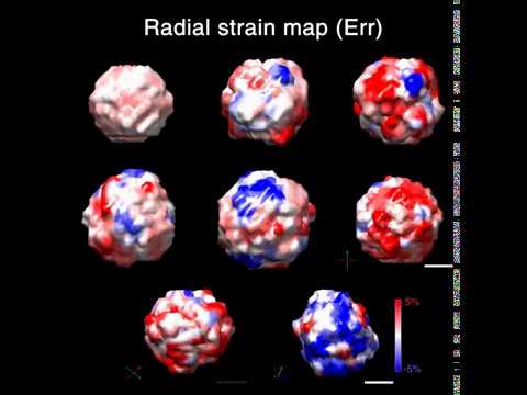 3D Reconstructions of Individual Nanoparticles - YouTube