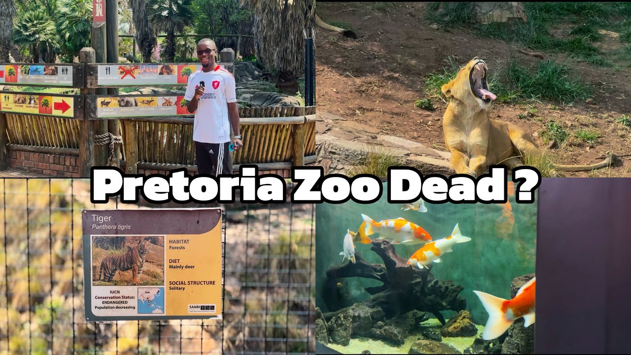 Does Pretoria Zoo Still Have Animals in 2025 ? Cost Breakdown | What to ...