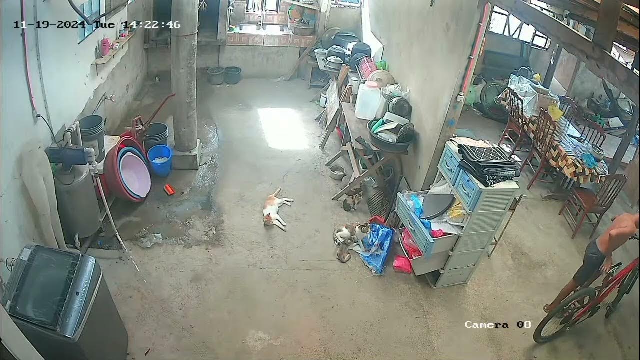 Kawatan part 1 - YouTube