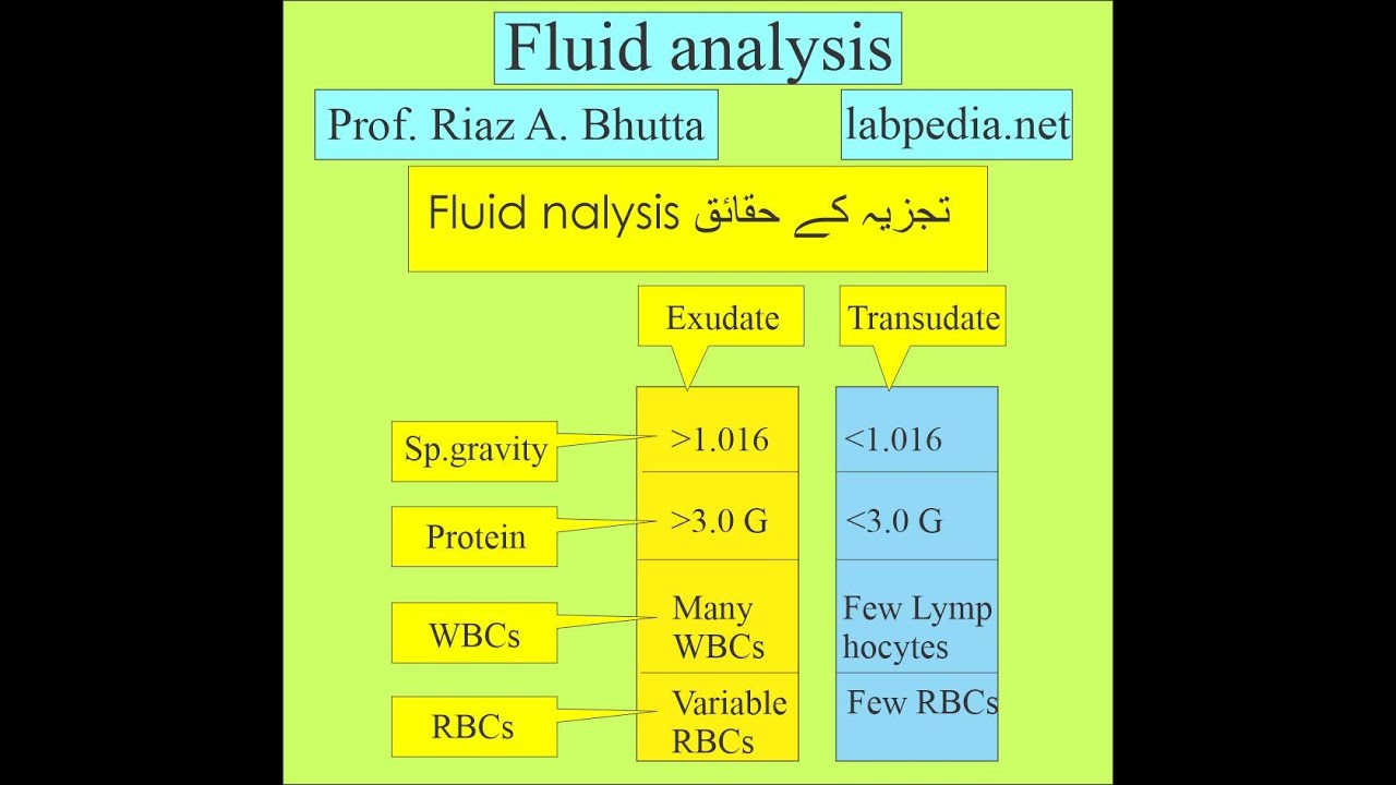 Fluid Analysis by Prof. Riaz A. Bhutta, labpedia.net (Urdu, Hindi) - YouTube
