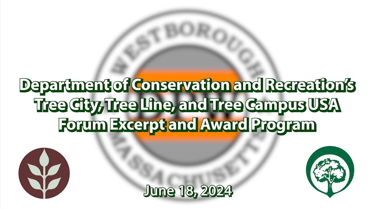 Department of Conservation and Recreation's Tree City, Tree Line, and ...
