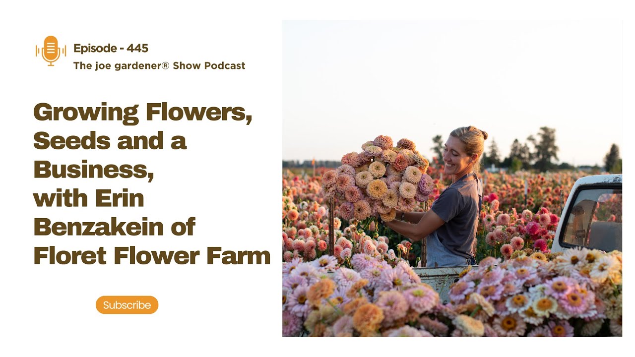A Conversation with Erin Benzakein of Floret: Her Story, Seeds, and the ...