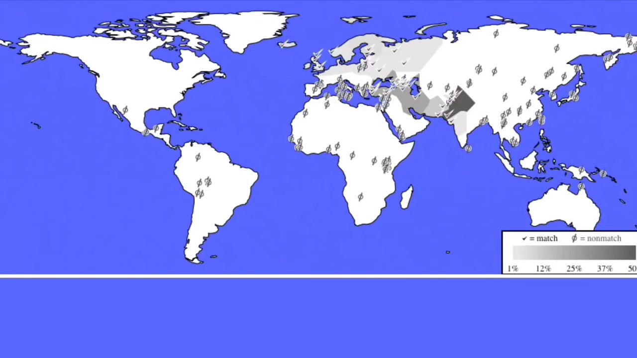 Afghan Pashtun DNA Test Results (DNA Land) - YouTube