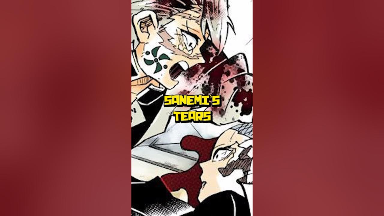 Genya Dies To Save Sanemi Vs Upper Moon 1 Kokushibou Demon Slayer Shinazugawa Brothers