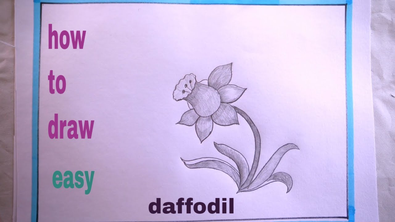 how to draw daffodil flower easy/daffodil flower drawing - YouTube
