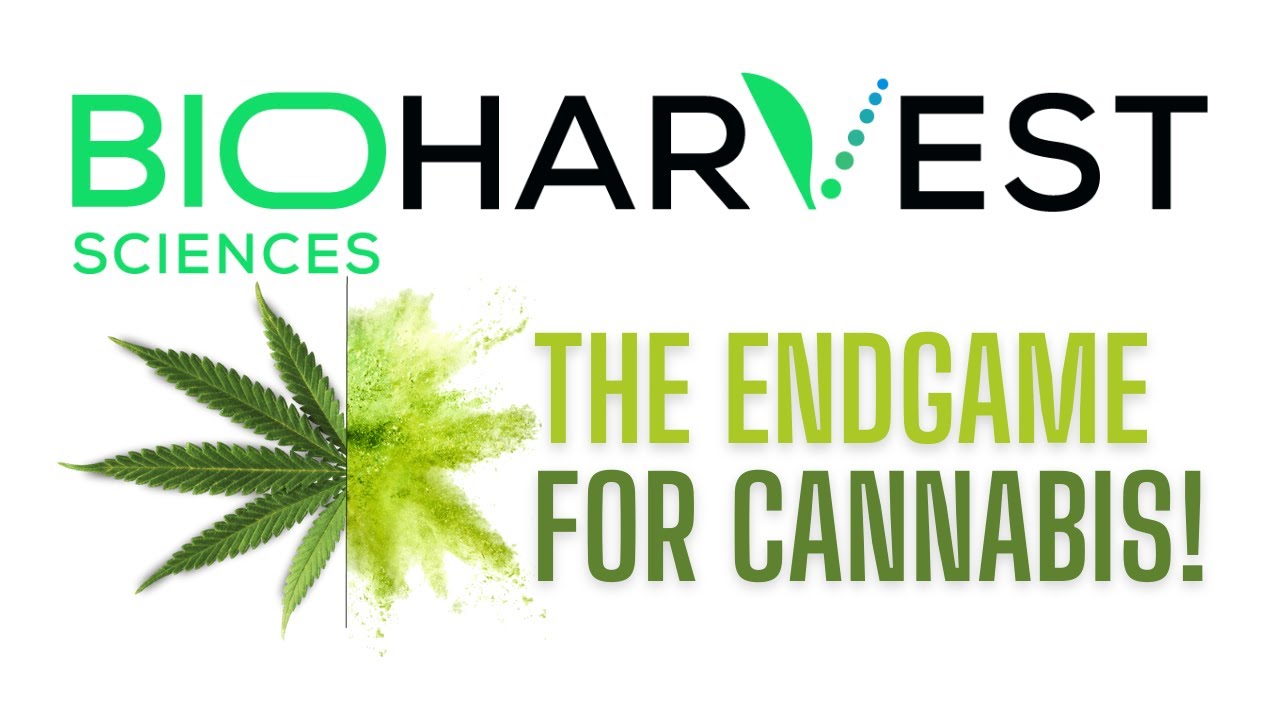 Cannabis That Will Shock the World!! BioHarvest Sciences to Completely ...