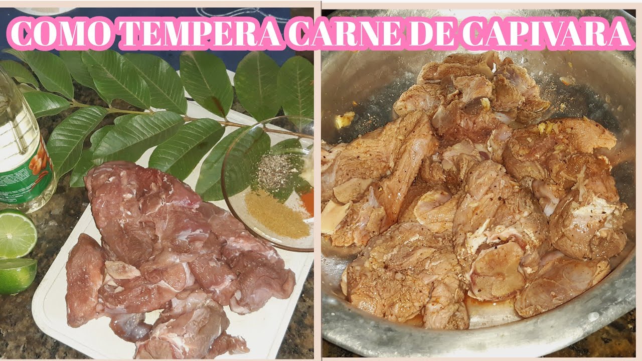 COMO TEMPERAR CARNE DE CAPIVARA - YouTube