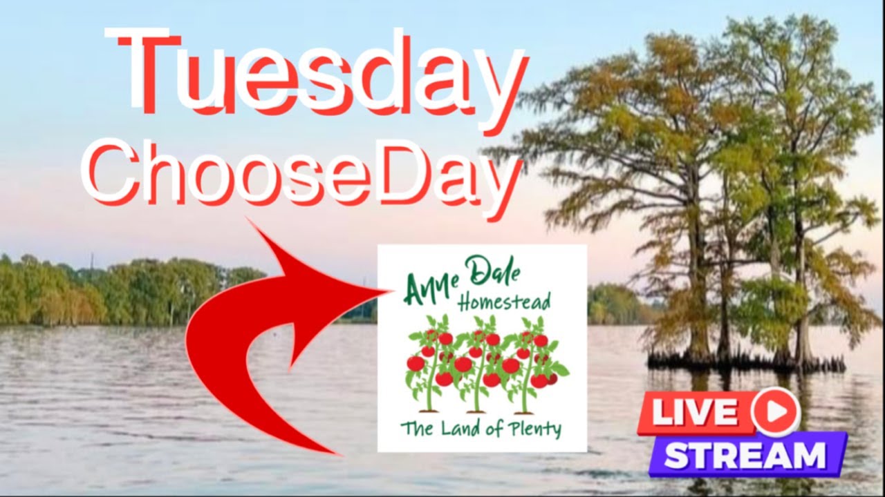 Tuesday ChooseDay #perseverance - YouTube