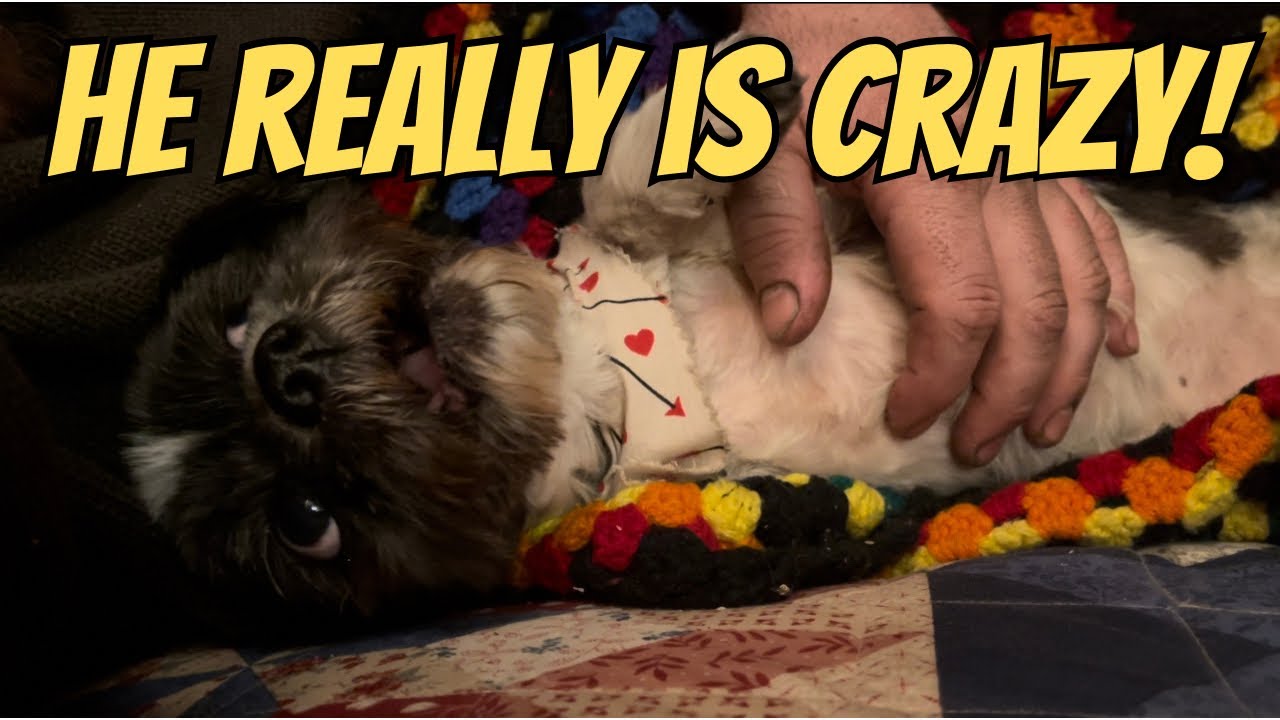 Being normal is BORING…be CRAZY!!! - YouTube