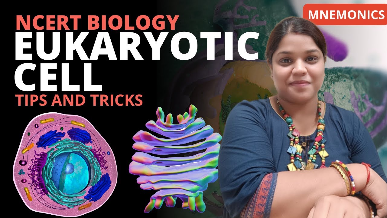 Eukaryotic Cell Parts Mnemonics | Tips and Tricks | NEET - YouTube