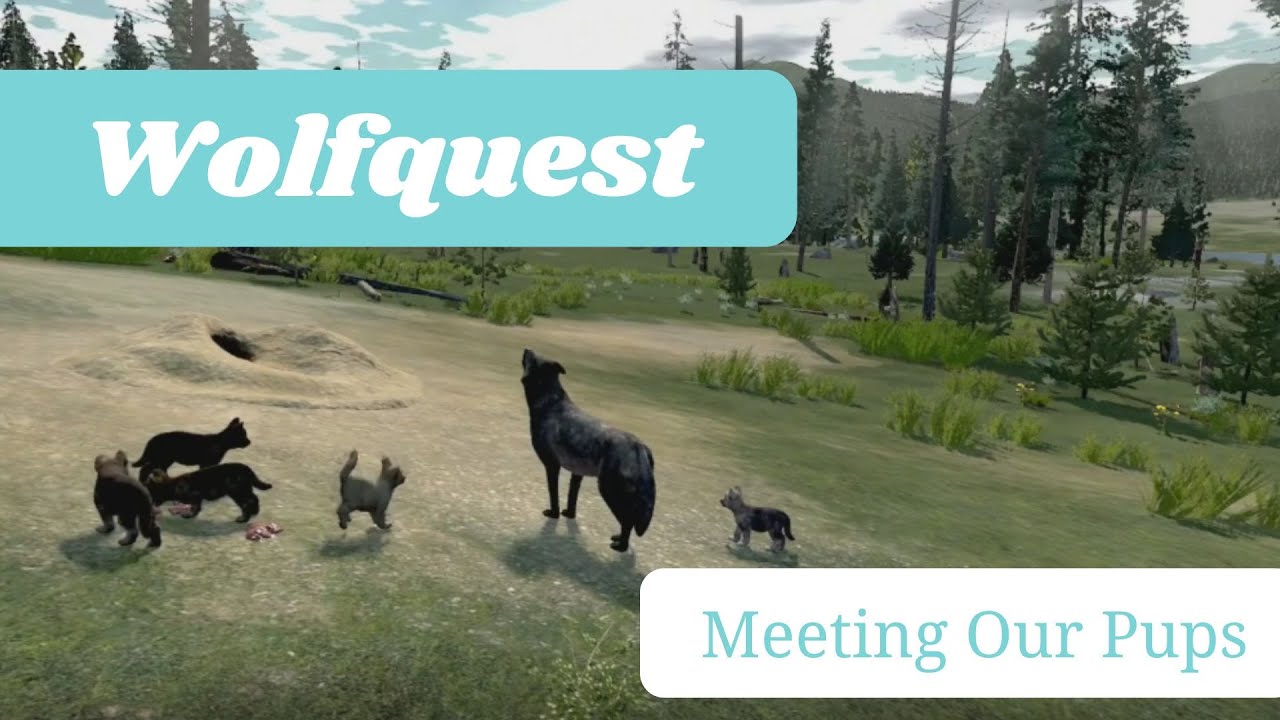 Naming Our Pups And Strengthening Our Territory! (Wolfquest AE) (Purple ...