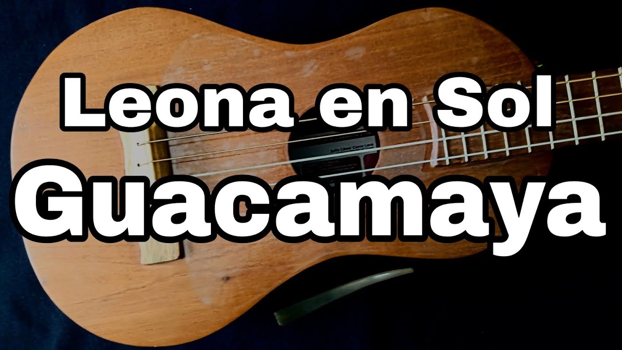 Leona en SOL - (E1) | Guacamaya - YouTube