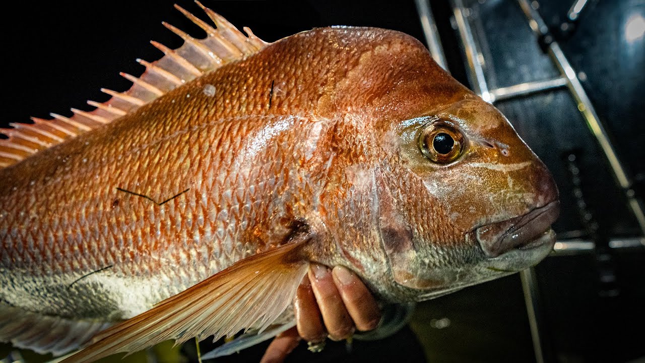 Kids vs. Monster Snapper: Epic Fishing Showdown - YouTube