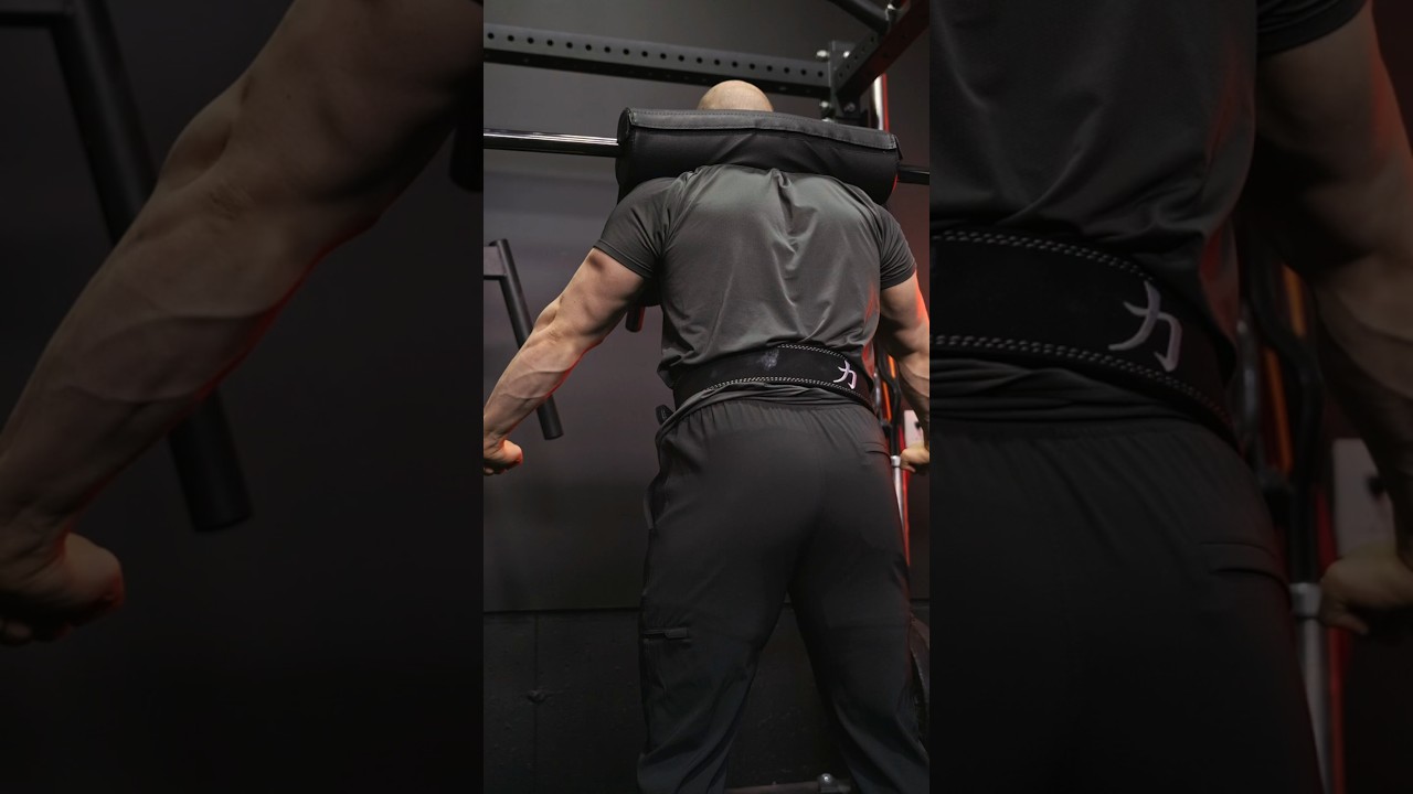 Alex Leonidas Fitness | Novice To Advanced Natural Training