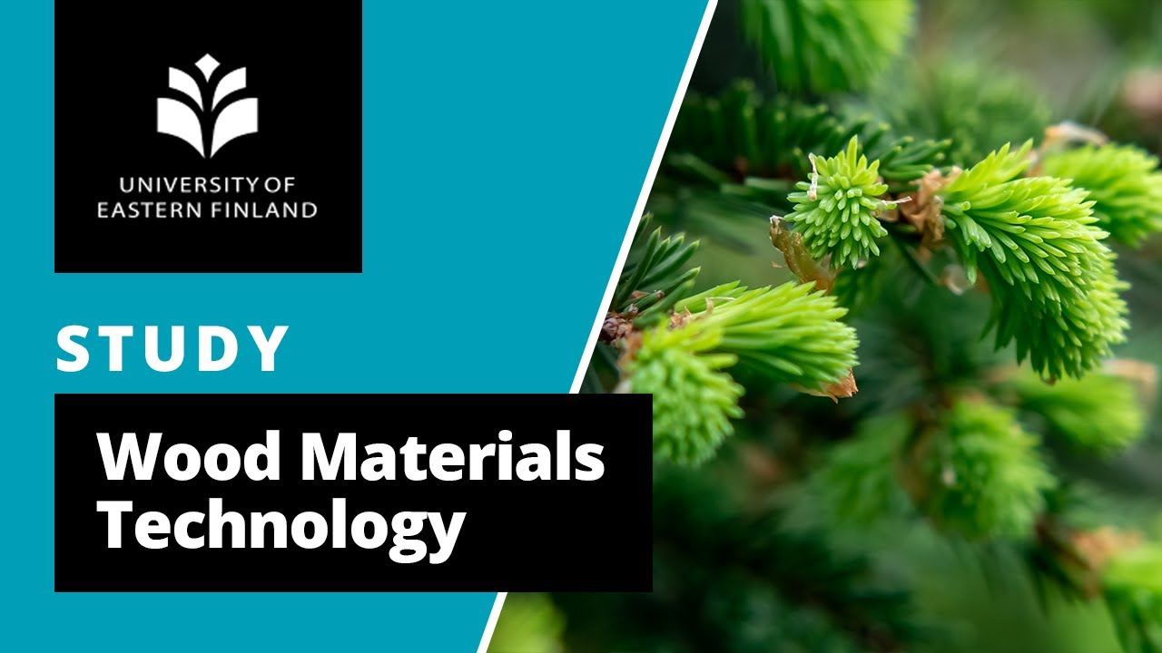 UEF // Wood materials science and technology - YouTube