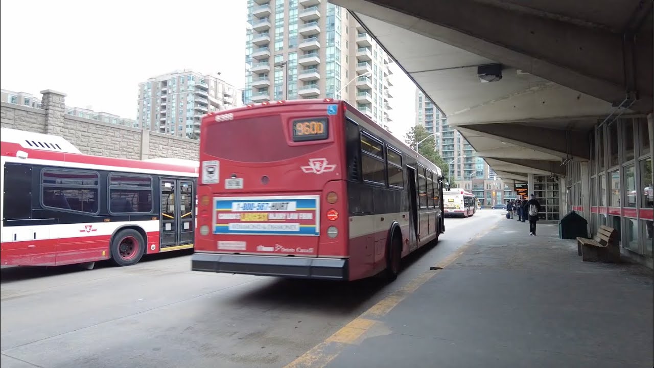 TTC 960 Steeles West Express Bus Ride #8388 from Steeles Ave W Back to ...