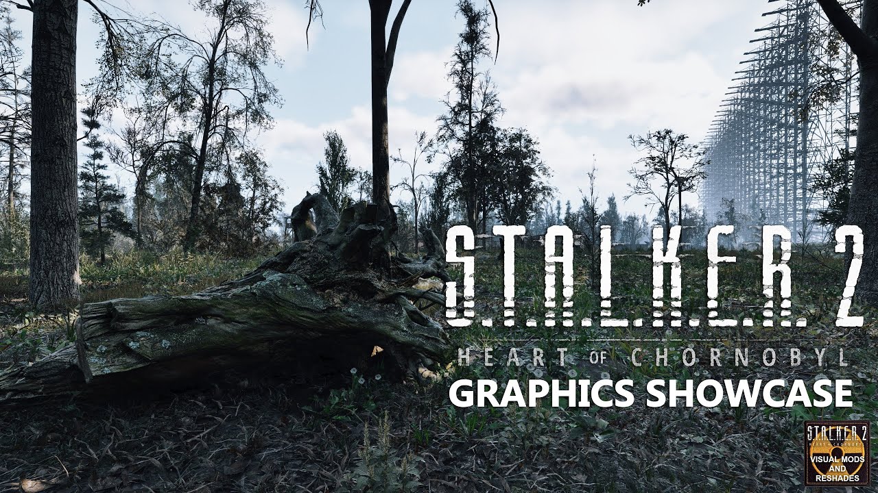 STALKER 2 - GRAPHICS SHOWCASE ON BUILD 1.8.1 - YouTube