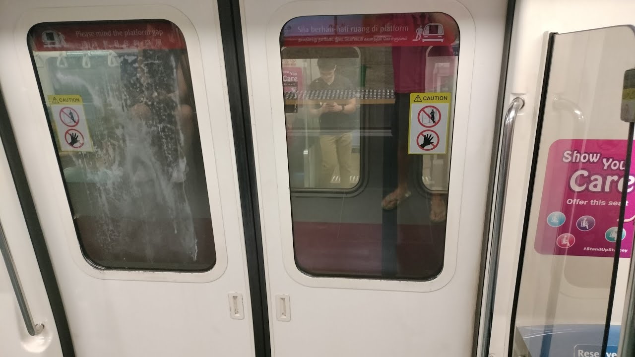 Complete Ride C751B 317/318 (accel chainsaw, echoing motor!) - YouTube