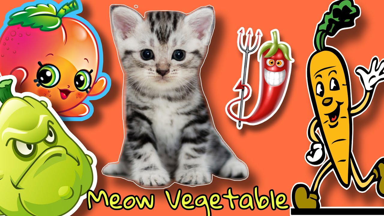 CAT | VEGETABLE NAMES | EDUCATIONAL | SURPRISE KIDS - YouTube