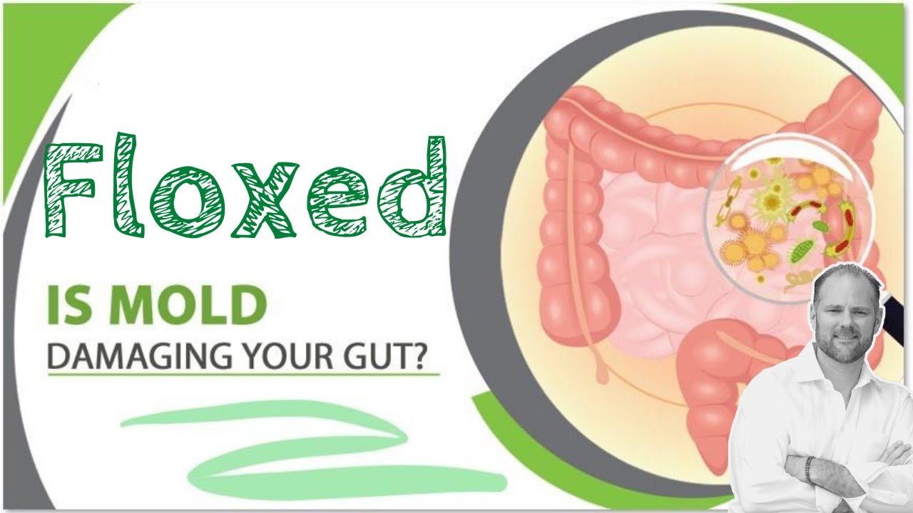 [Floxed] with UNDISCOVERED mold exposure lingering in your gut causing ...