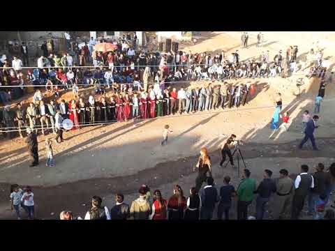 Rojhat ciziri strana ax evin can evin