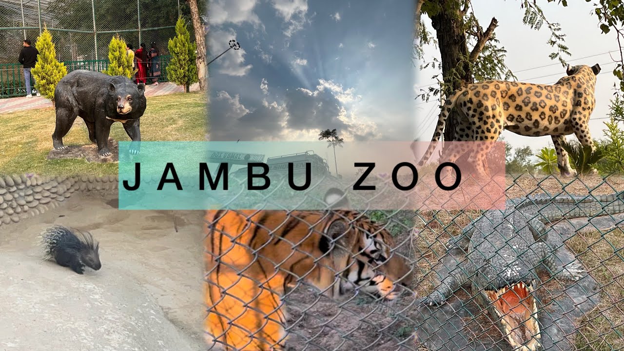 JAMBU ZOO IN JAMMU / Largest Zoo Of North India 🇮🇳😍#jambuzoo #outing # ...