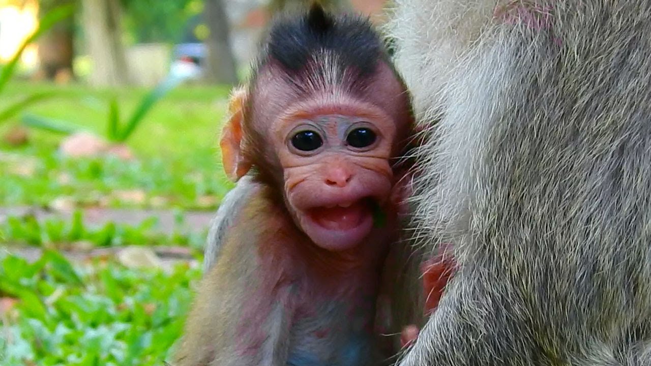 New Baby Glade To Playing Each Other - YouTube