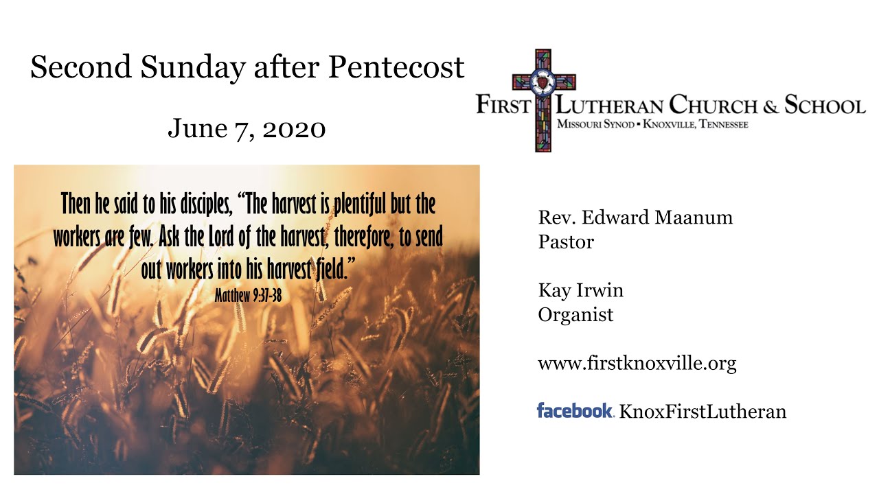 Second Sunday After Pentecost YouTube second-sunday-after-pentecost-youtube