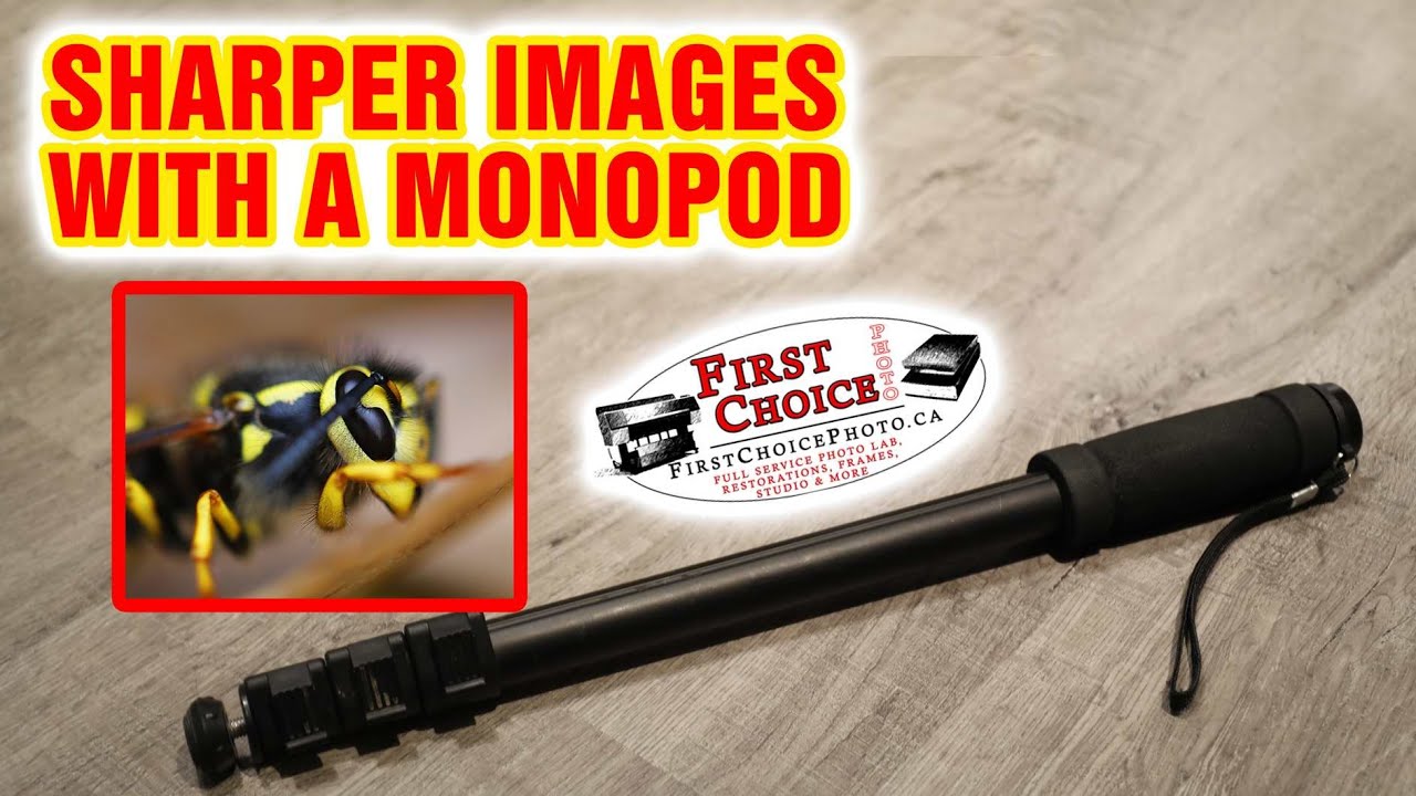 USE A MONOPOD to get THE SHARPEST images that will put your work above ...
