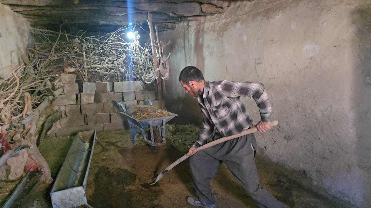 Ruftena sheep manure ♻️ | The challenges of the Shamsullah family in ...