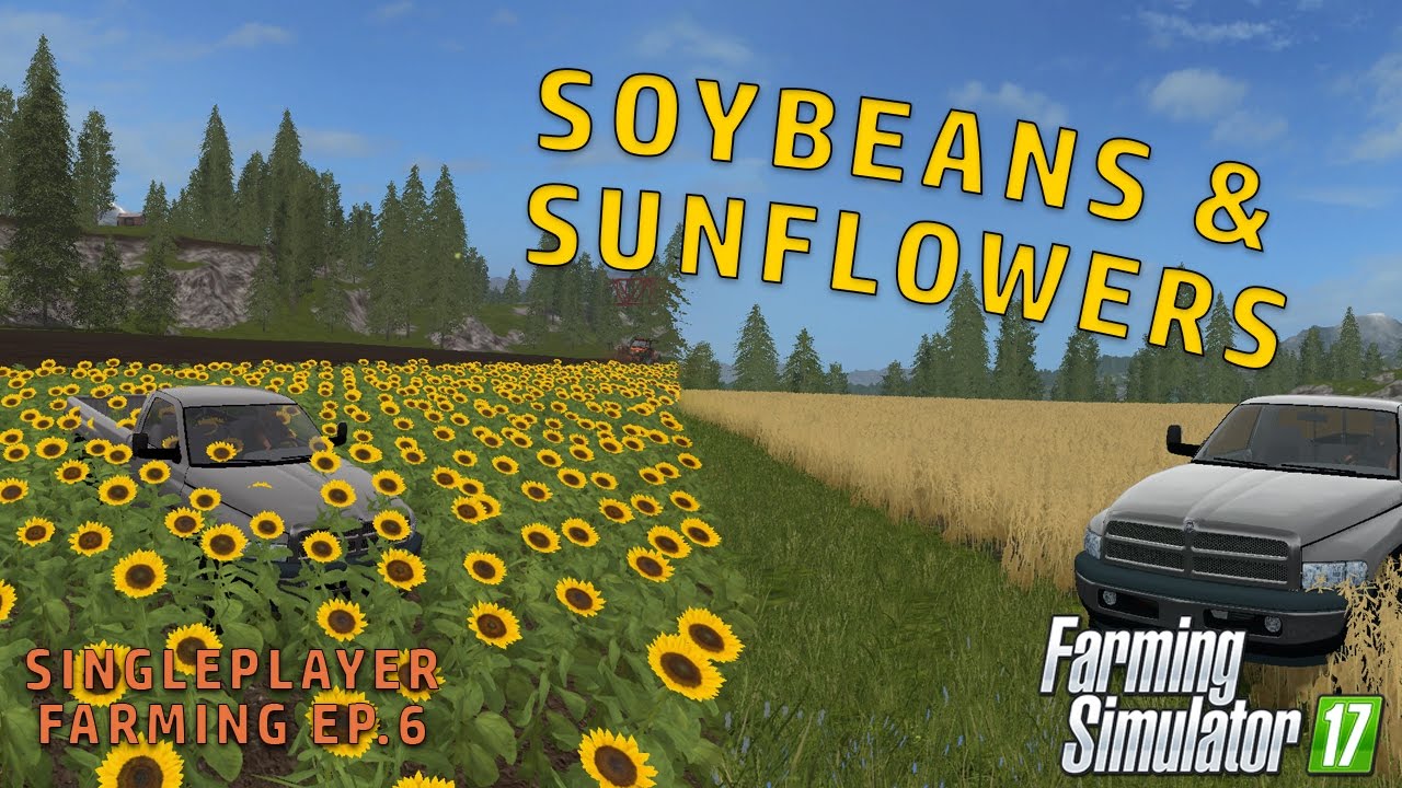 SOYBEANS & SUNFLOWERS! | Farming Simulator 2017 - YouTube