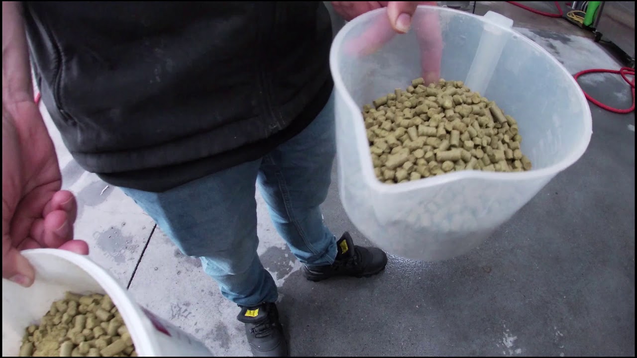 CraftCentral.ie & BRÚ Brewery - King Nelson Single Hop Nelson Sauvin ...