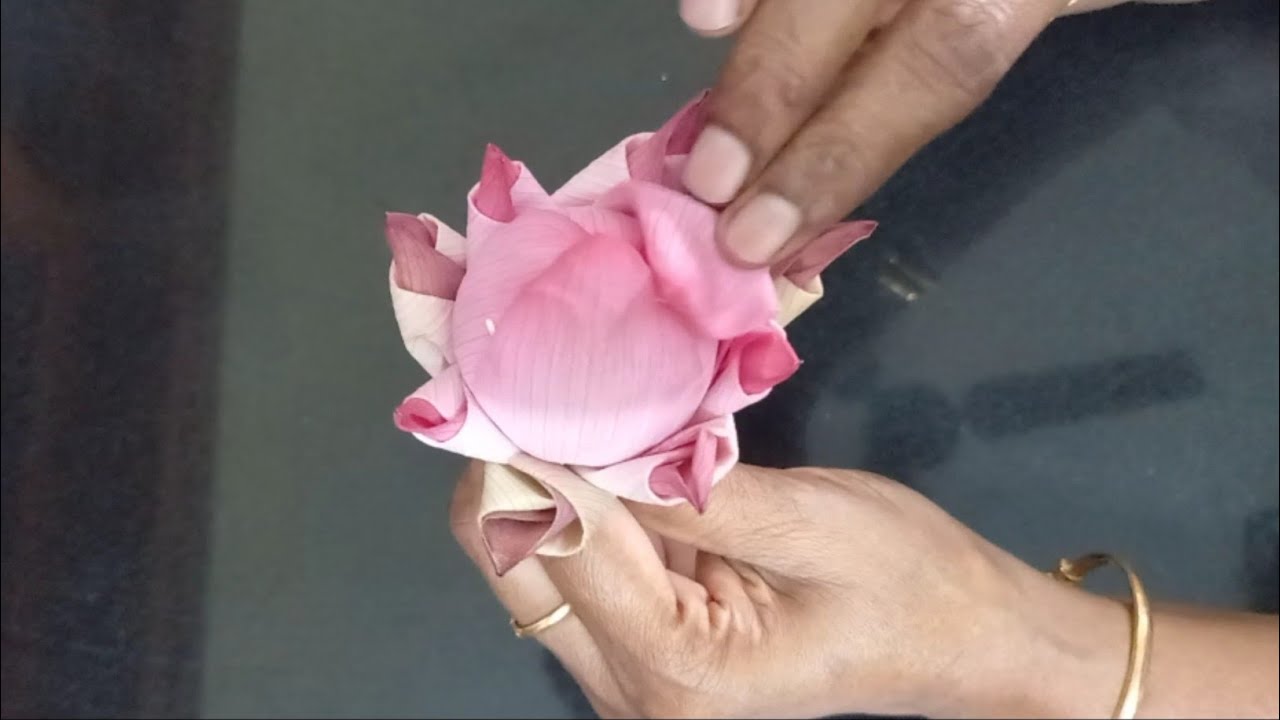 How to fold Lotus petals/3 ways to fold a Lotus Flower/ - YouTube