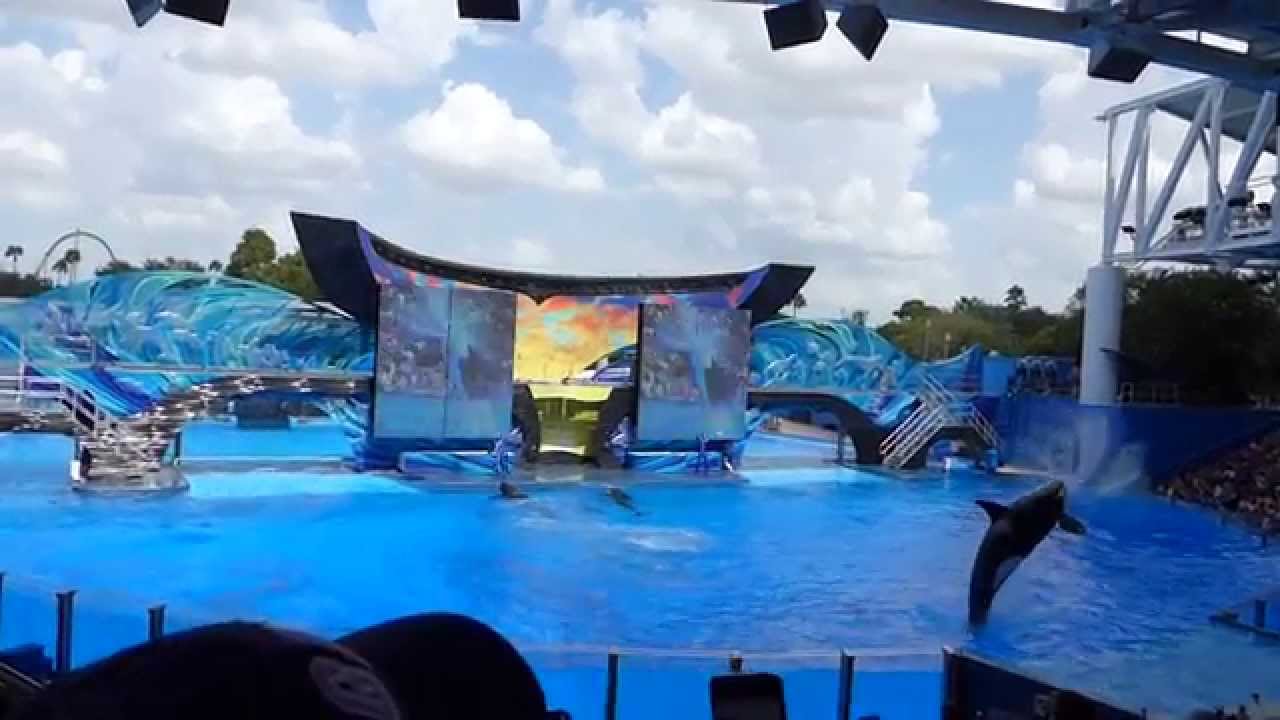 One Ocean - Seaworld Orlando - YouTube
