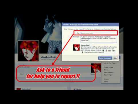Support The Real Sofurgofromashes **How Report Fakes**