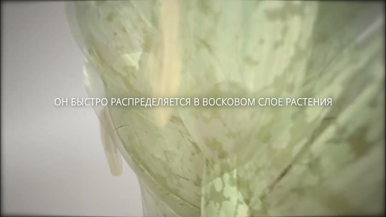 ФУНГИЦИД МИРАВИС® Нео ДЛЯ ЗЕРНОВЫХ. МЕХАНИЗМ ДЕЙСТВИЯ. - YouTube